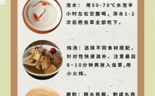 北虫草怎么吃最好_北虫草食用方法