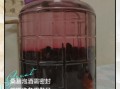 桑葚怎么洗干净泡酒_桑葚泡酒前要不要晾干