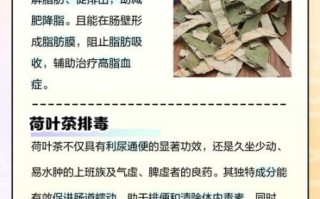 长期喝荷叶茶有害处吗_荷叶茶副作用