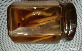 蜂蜜柠檬变质了还能喝吗_蜂蜜柠檬发霉图片识别