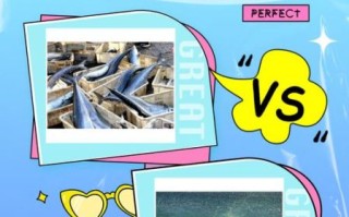 乌鸡鲅鱼啥意思_网络用语来源