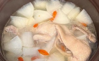 老鸭汤的家常做法_老鸭汤怎么炖好喝