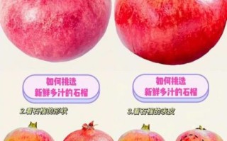石榴果怎么挑选_石榴果的功效与作用