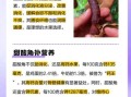 甜酸角的功效与副作用_甜酸角能减肥吗