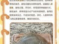 多宝鱼不能和什么一起吃_多宝鱼相克食物有哪些