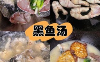 黑鱼枸杞汤怎么炖好喝_黑鱼枸杞汤的做法步骤