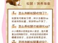 松鼠怎么养_松鼠能活多久