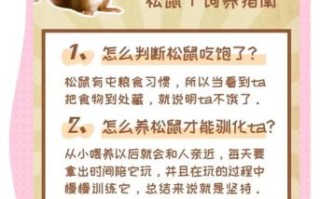 松鼠怎么养_松鼠能活多久
