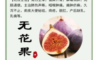 无花果的白汁能治什么_无花果白汁的功效与作用
