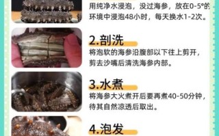 海参怎么吃最好吃_海参怎么泡发最正确