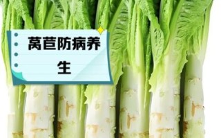 莴苣的功效与作用_莴苣怎么吃最减肥