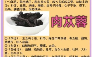 肉苁蓉的功效与作用_肉苁蓉的副作用有哪些