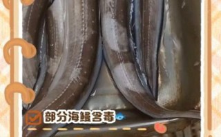 海鳗鱼的功效与作用_海鳗鱼什么人不能吃