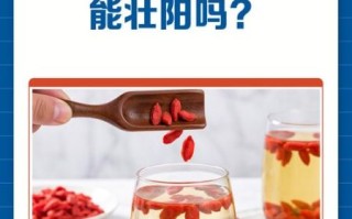 男人喝枸杞水能提高性功能吗_枸杞壮阳是真的吗