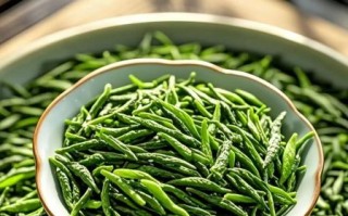 小叶苦丁茶的功效与作用_小叶苦丁茶怎么泡才正确