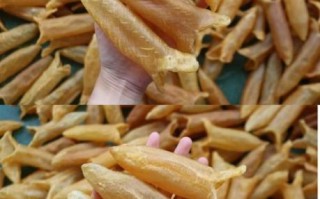 黄花胶是什么_黄花胶的功效与作用