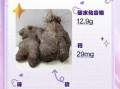 脚板薯怎么种植_脚板薯和山药的区别