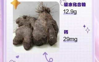 脚板薯怎么种植_脚板薯和山药的区别