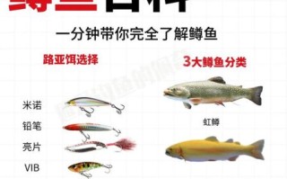 鳟鱼图片大全_鳟鱼品种怎么区分