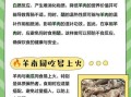 羊肉和什么相克_吃羊肉不能吃什么