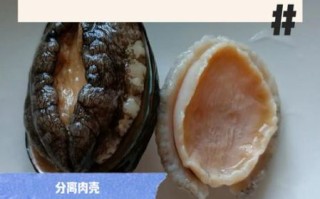 鲍鱼哪里不能吃图解_鲍鱼内脏怎么清理