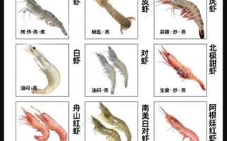 淡水虾有哪些品种_常见淡水虾种类大全
