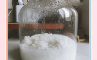 酸奶机做米酒要多久_酸奶机做米酒步骤