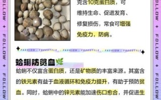 蛤蜊的营养价值及禁忌_什么人不能吃蛤蜊