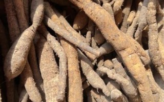 牛大力补肾壮阳吗_牛大力怎么吃效果最好