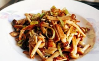 新鲜蘑菇怎么炒好吃_新鲜蘑菇的做法大全