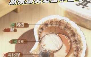 冷冻扇贝肉哪些不能吃_图解辨别方法