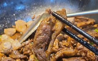 鹅肉怎么做好吃_鹅肉的家常做法