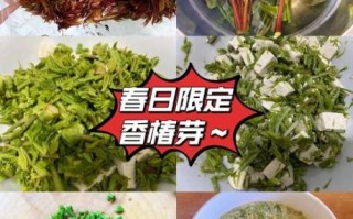 香椿芽怎么做好吃_香椿芽有哪些吃法