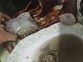 澳洲大龙虾怎么清洗_澳洲龙虾清洗步骤