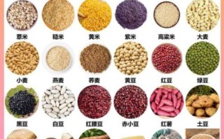 杂粮有哪些_杂粮指的是哪些粮食