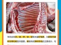 羊肉的营养价值_羊肉的功效与作用