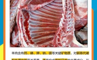 羊肉的营养价值_羊肉的功效与作用