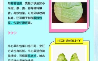牛心菜和卷心菜的区别_哪个更好吃