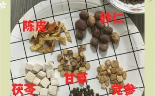 拉肚子拉水怎么办_拉肚子拉水吃什么药