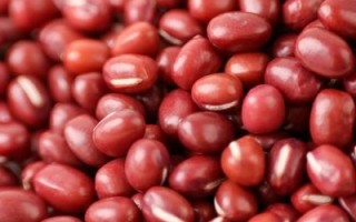 红豆图片大全大图_红豆高清壁纸哪里找