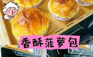 菠萝可以做什么甜点_菠萝甜点做法大全