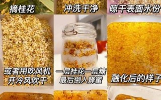 桂花蜜的功效与作用_桂花蜜怎么吃效果最好