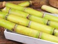 甘蔗视频怎么下载_甘蔗视频会员多少钱