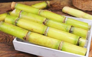 甘蔗视频怎么下载_甘蔗视频会员多少钱