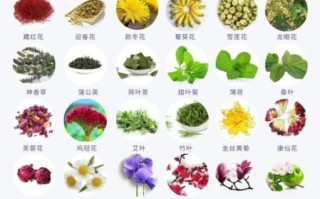 花茶有哪些种类_花茶图片大全及功效