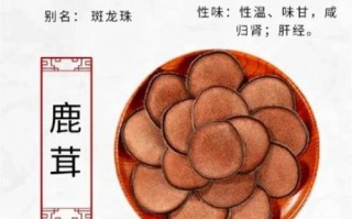 鹿茸的功效与作用禁忌_哪些人不能吃鹿茸