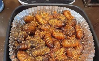 干煸蚕蛹怎么做_蚕蛹怎么炒才酥脆