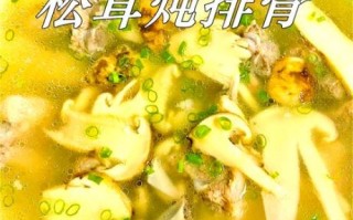 松茸炖排骨怎么做_松茸炖排骨要焯水吗