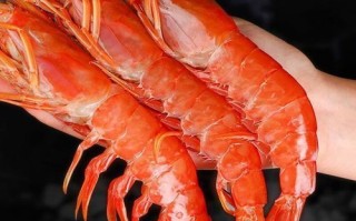 阿根廷红虾多少钱一只_阿根廷红虾价格影响因素
