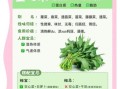 空心菜吃多了有什么坏处_空心菜重金属超标是真的吗